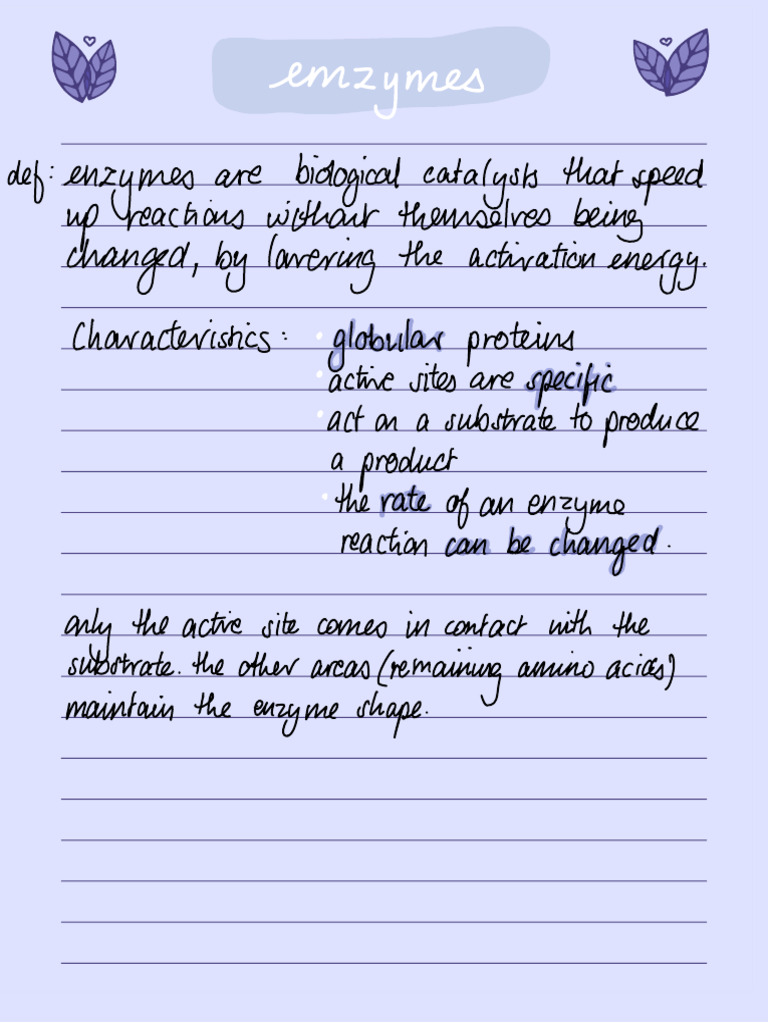 A Level Biology Notes | PDF