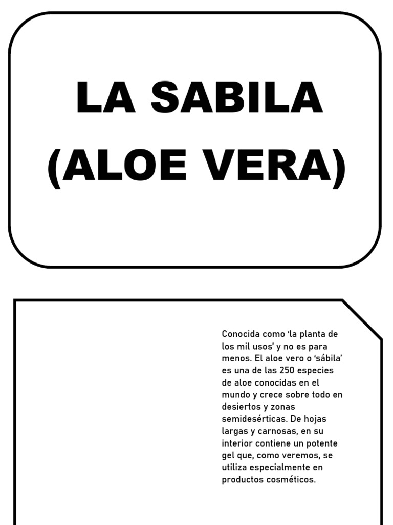 La Sabila 9 | PDF