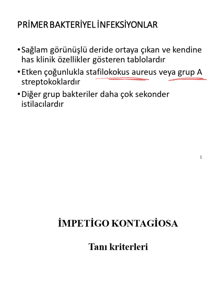 12 Pyoderma | PDF