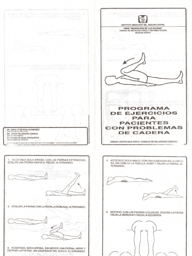 Programa Ejercicios Cadera | PDF