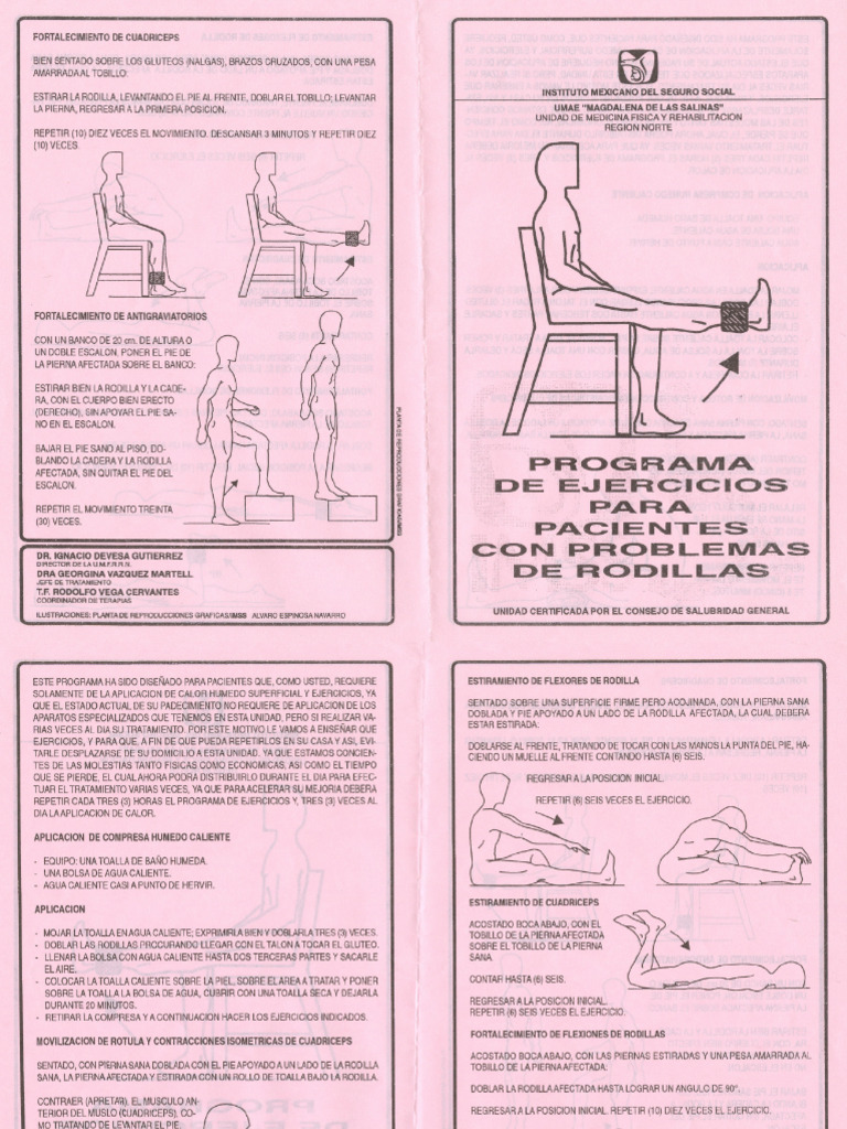 Programa Ejercicios Problema de Rodilla | PDF