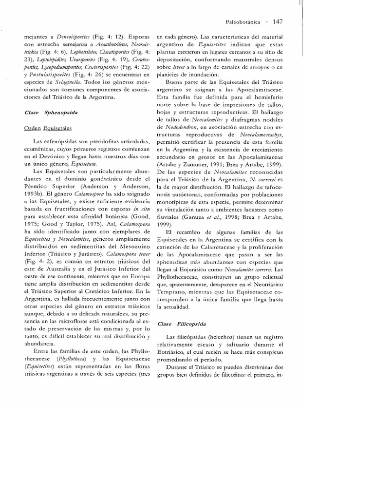 El Sistema Triasico en Arg - Filicopsida | PDF
