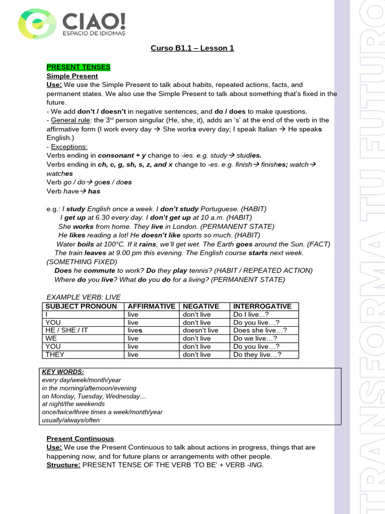 B1.1 - Lesson 1 Review | PDF | Grammatical Tense | Verb
