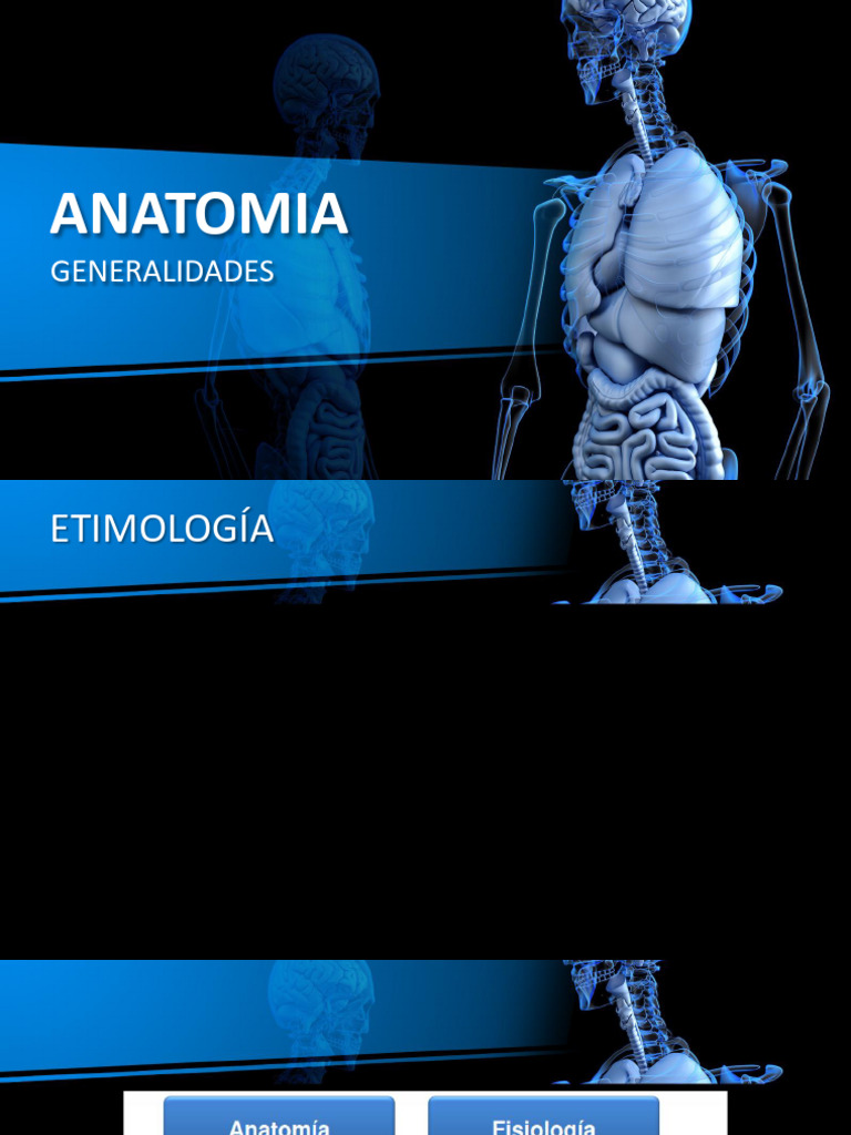 CLASE 1 Anatom Fisiologia | PDF