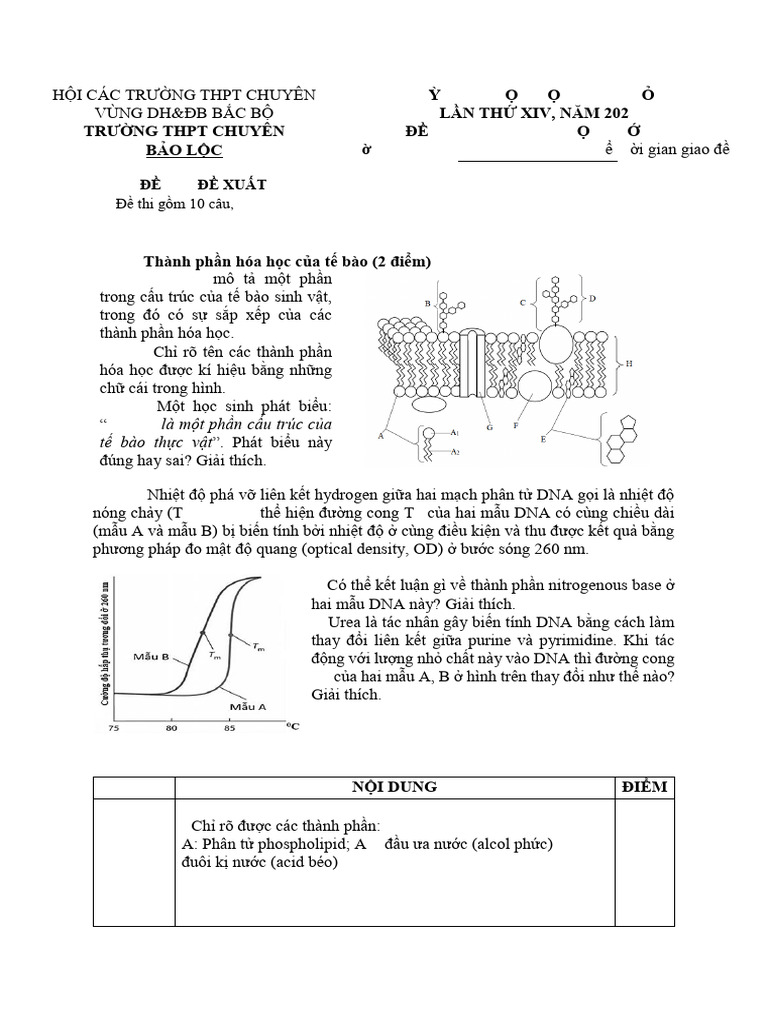 HDC Sinh 10 - THPT Chuyen Bao Loc - Lam Đong | PDF