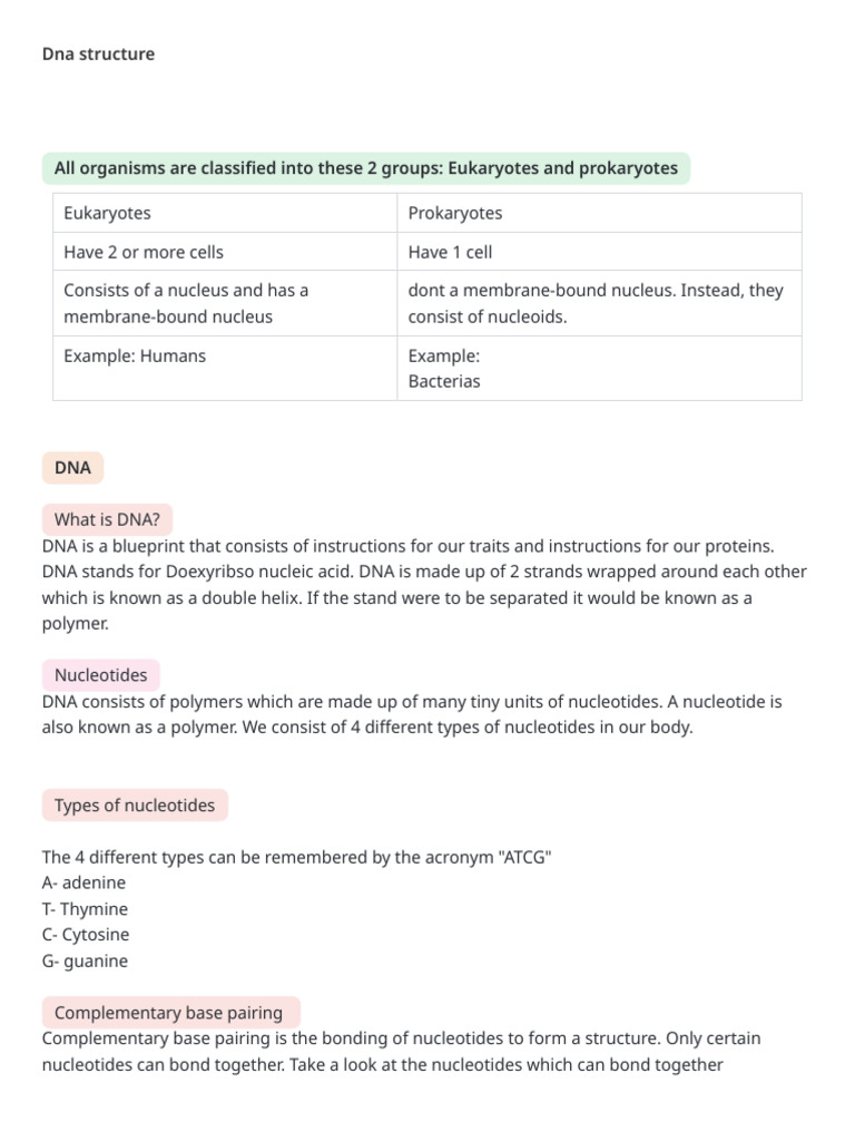 Dna Structure | PDF
