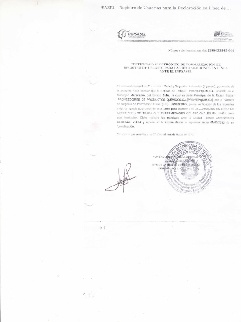 Registro Usuario Inpsasel | PDF