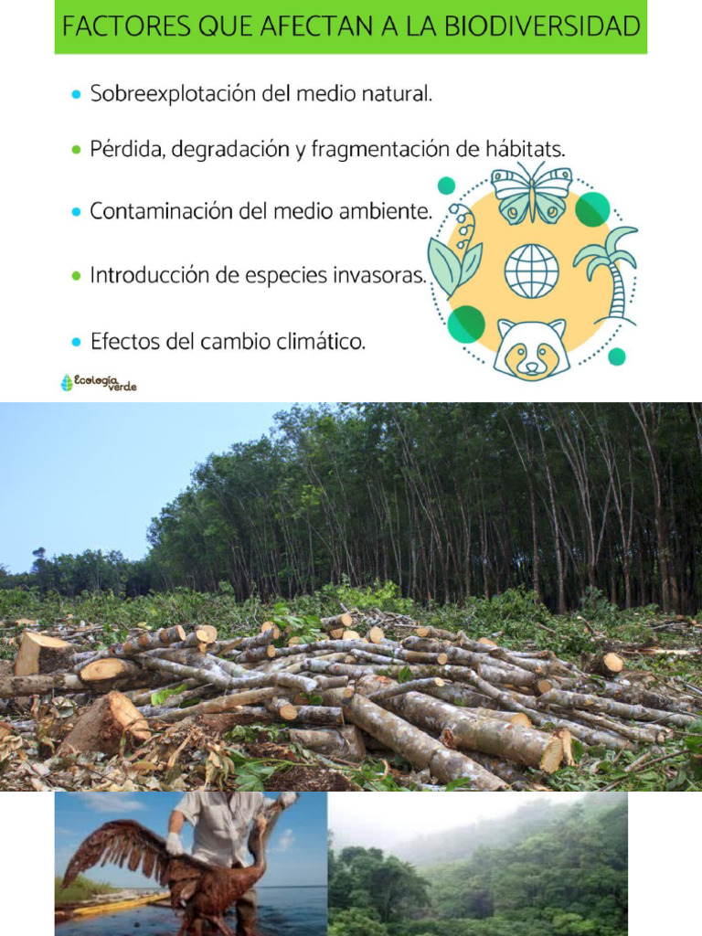 Factores Que Afectan La Biodiversidad | PDF