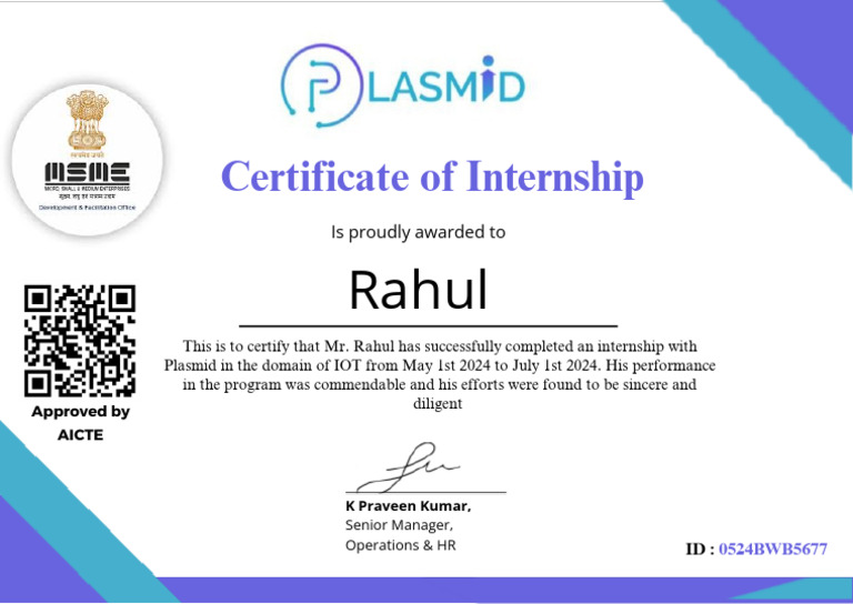 Sample Internship Certificate Plasmid | PDF