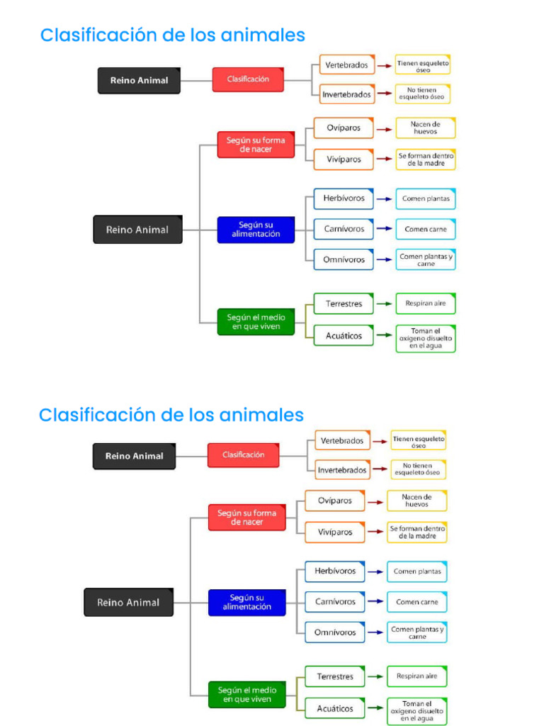 Clasificación de Los Animales | PDF