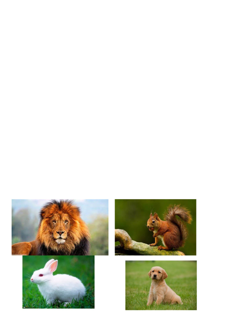 Animales en Español y Ingles | PDF