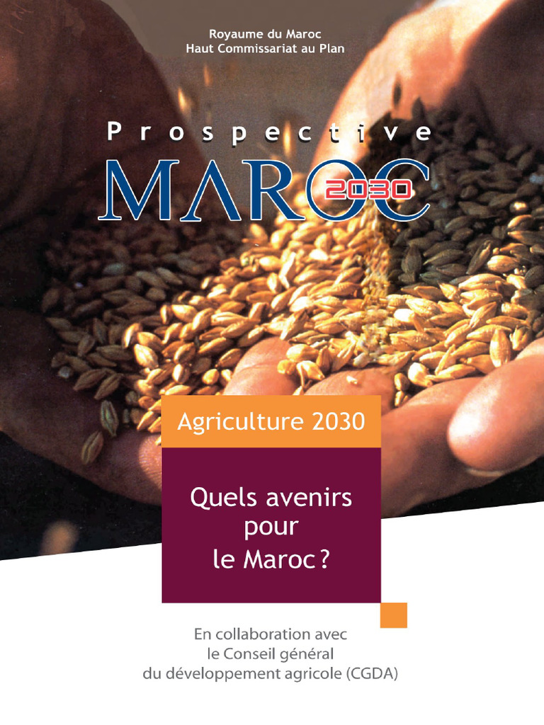 Prospective Maroc 2030 - Agriculture 2030, Quels Avenirs Pour Le Maroc | PDF