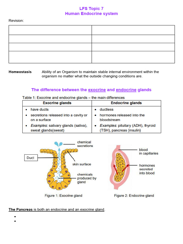 LFS Topic 7 - Endocrine System | PDF