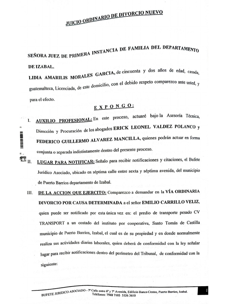 Documento 12 | PDF