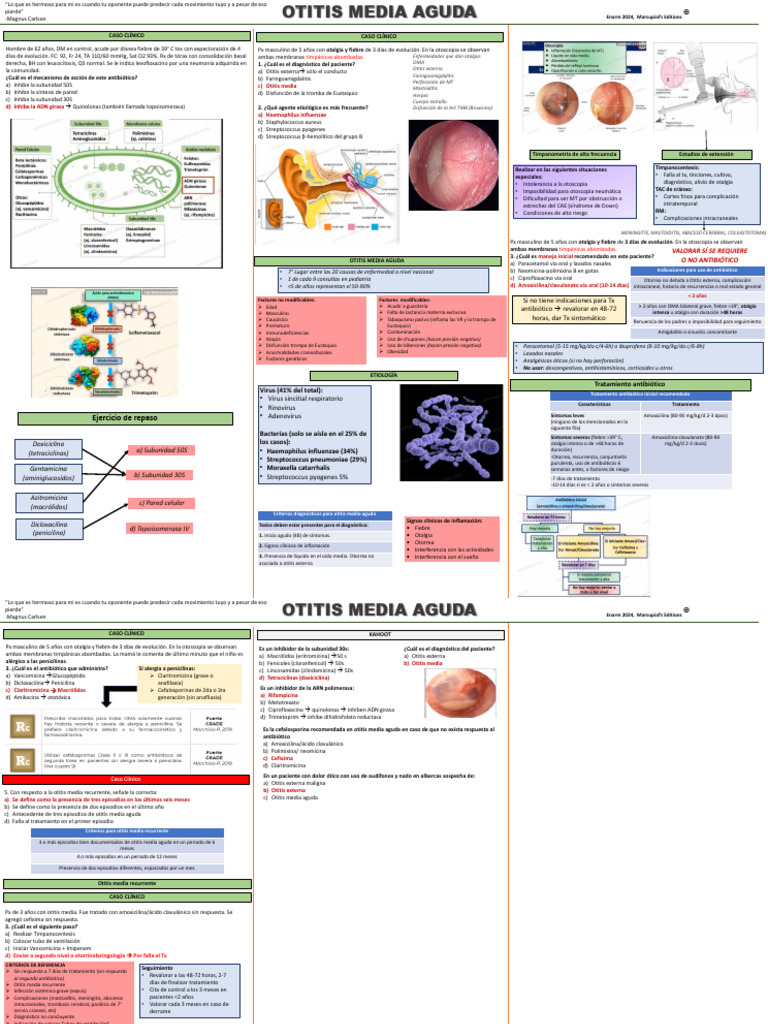 CLASE 4 2023- OMA | PDF