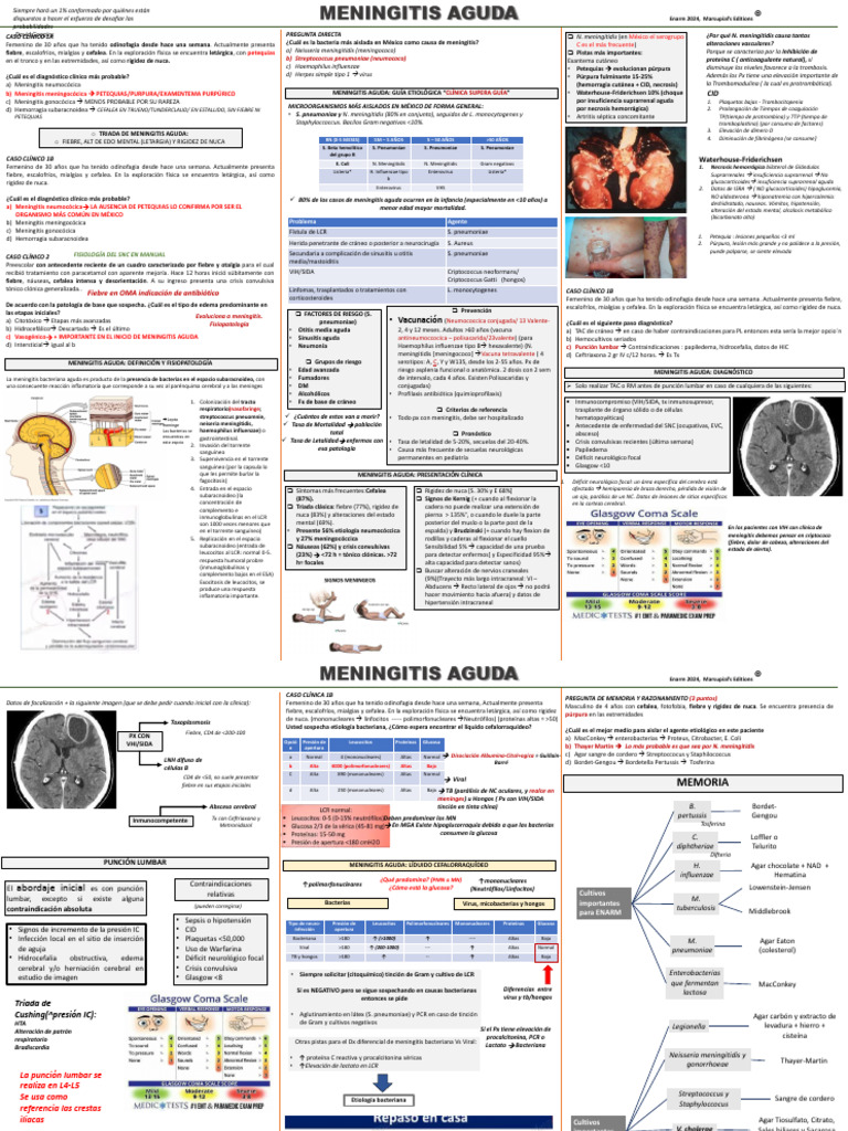 Clase 4 2023 - Meningitis | PDF