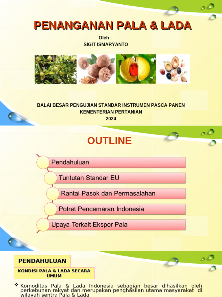 Penangangan Pala - BSIP - 09072024 | PDF