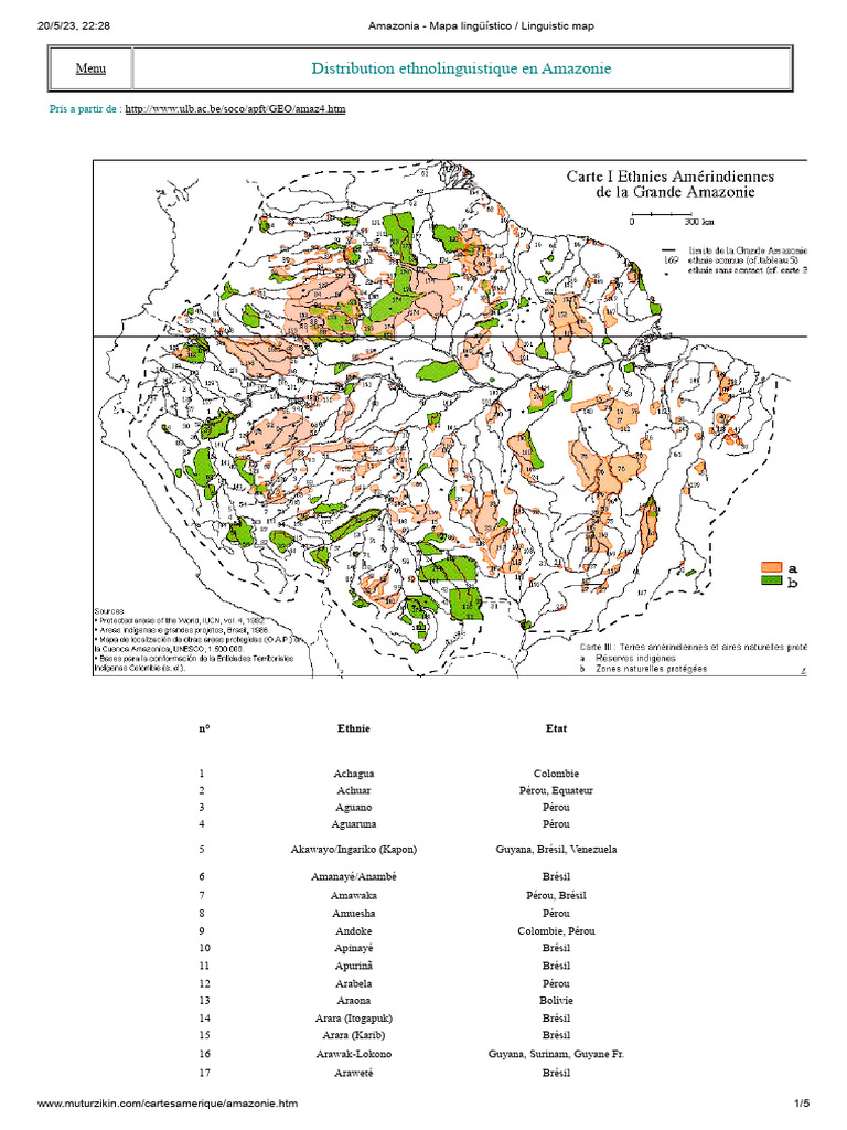 Mapa Linguistico Amazonia | PDF
