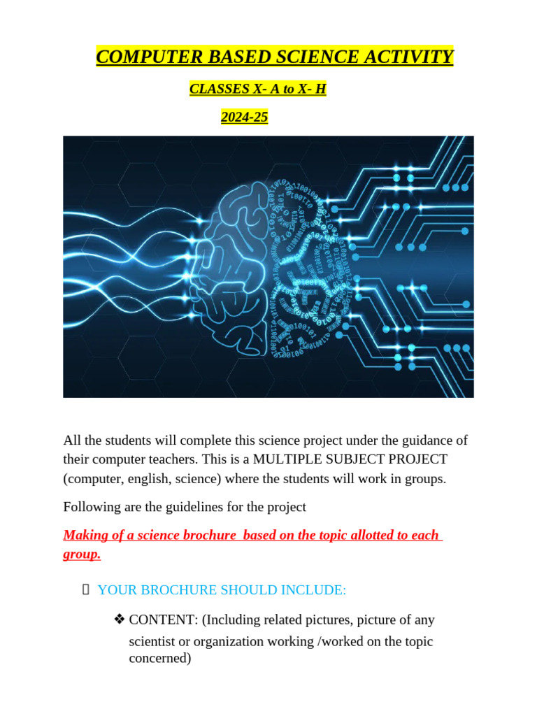 Computer Based SC - Project - Class X 2024-25 | PDF