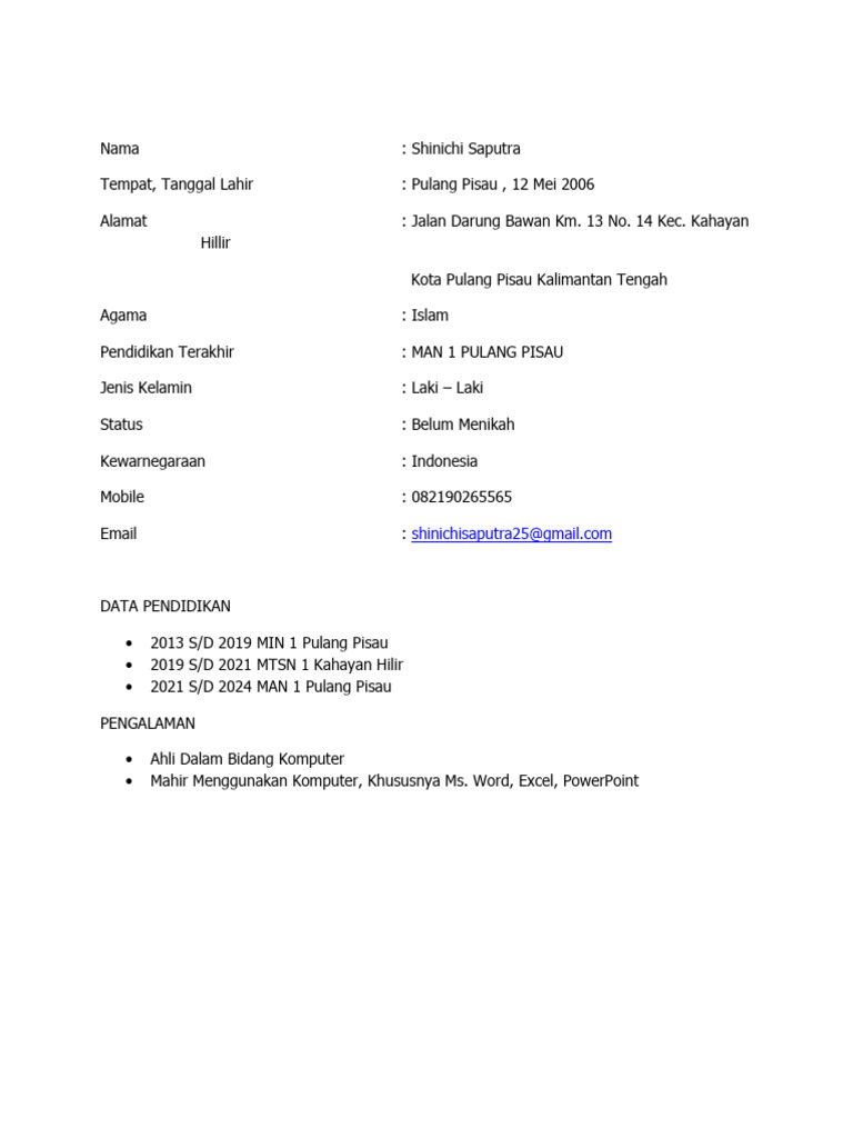 CV Shinichi Saputra | PDF