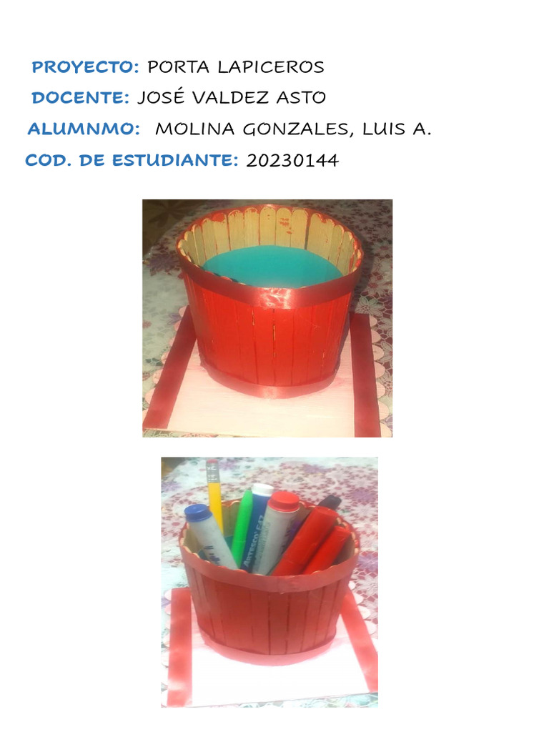 Proyectos Final | PDF