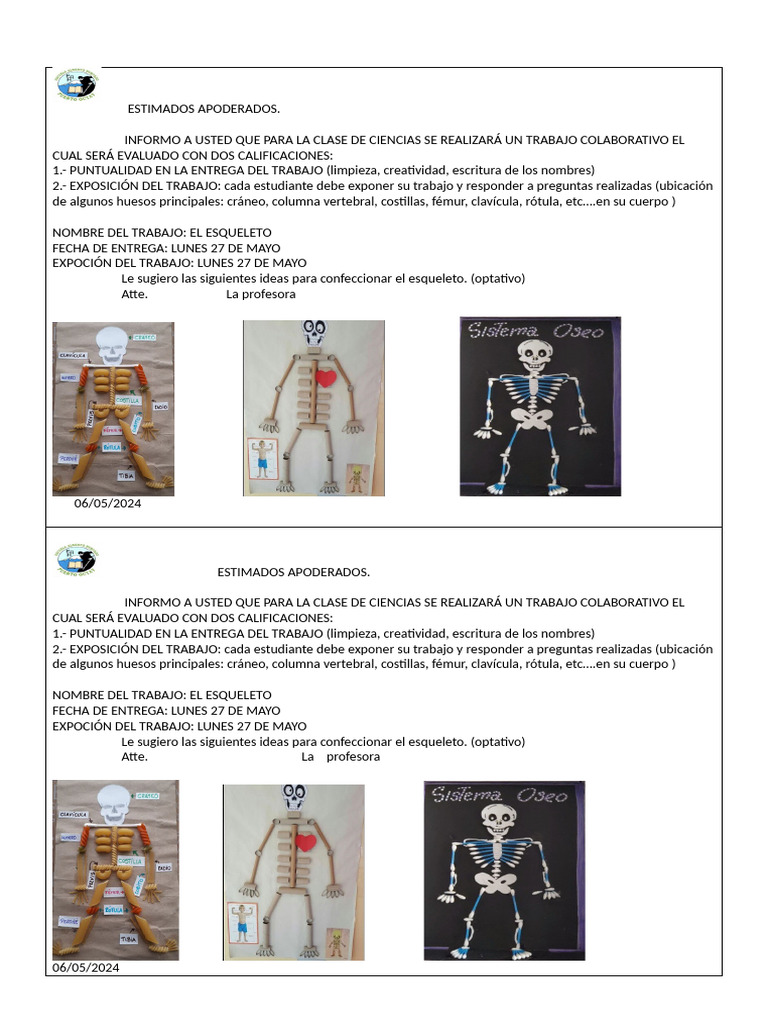 Trabajo Cs. El Esqueleto | PDF