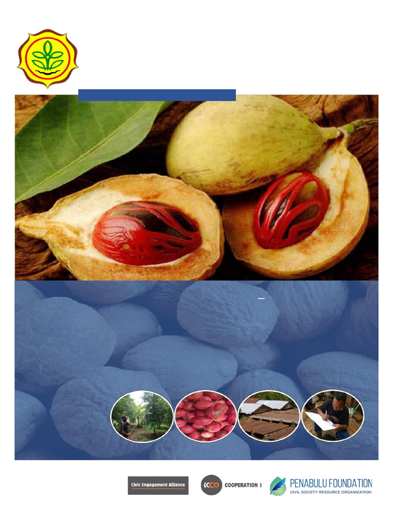 SOP Pala Tingkat Petani Siap Cetak 210720 | PDF
