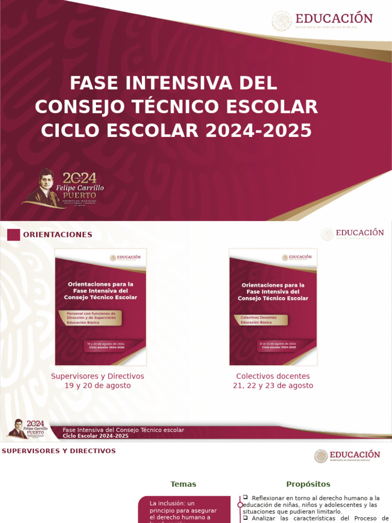 Diapositivas Cte | PDF