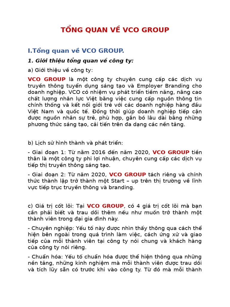 Vco Group - Overview | PDF
