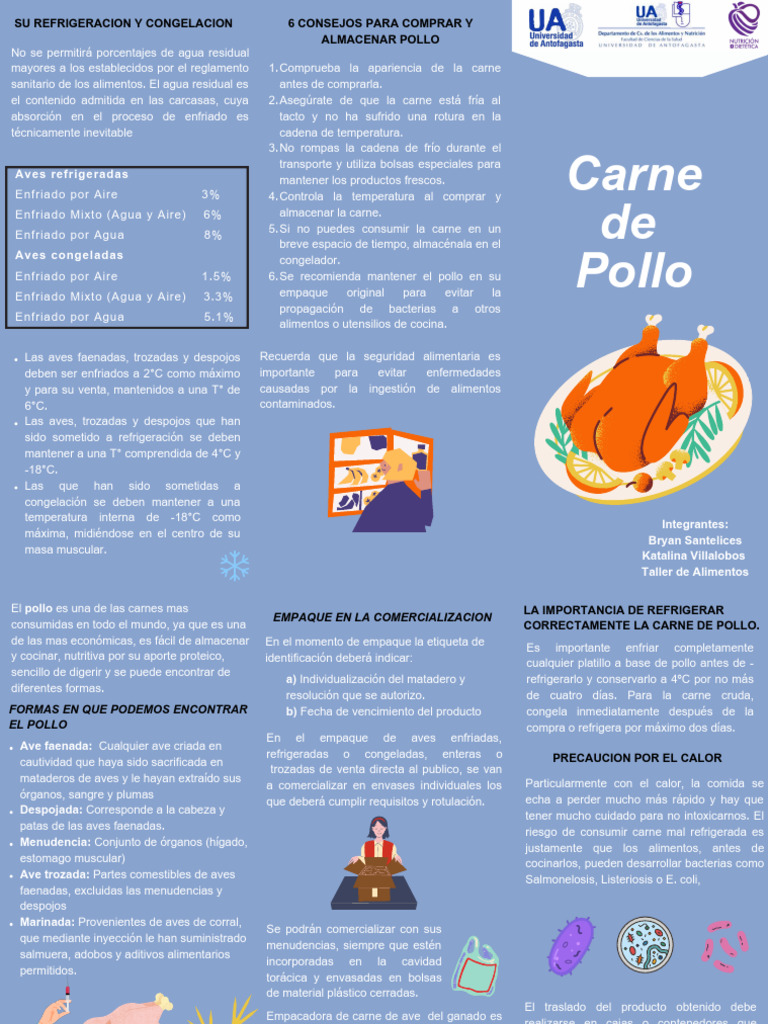 Triptico Nutricion Con Fotos Salmon | PDF | Carne | Alimentos