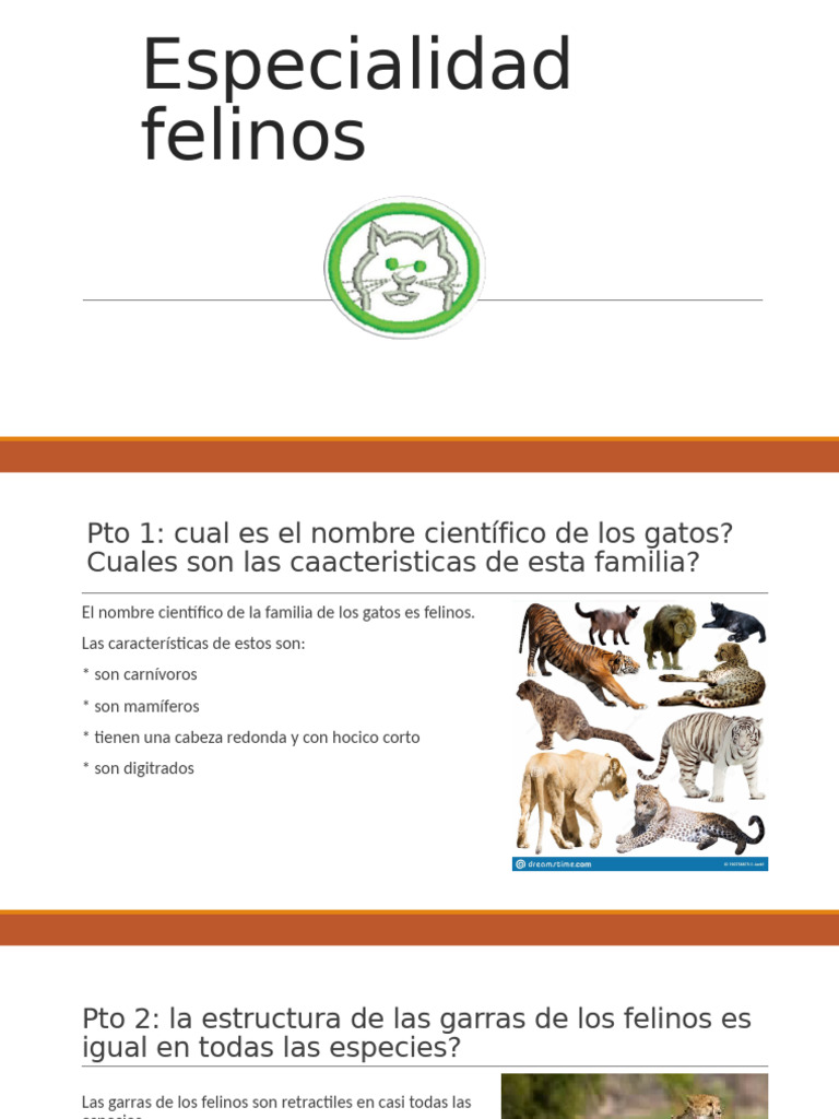 Felinos | PDF
