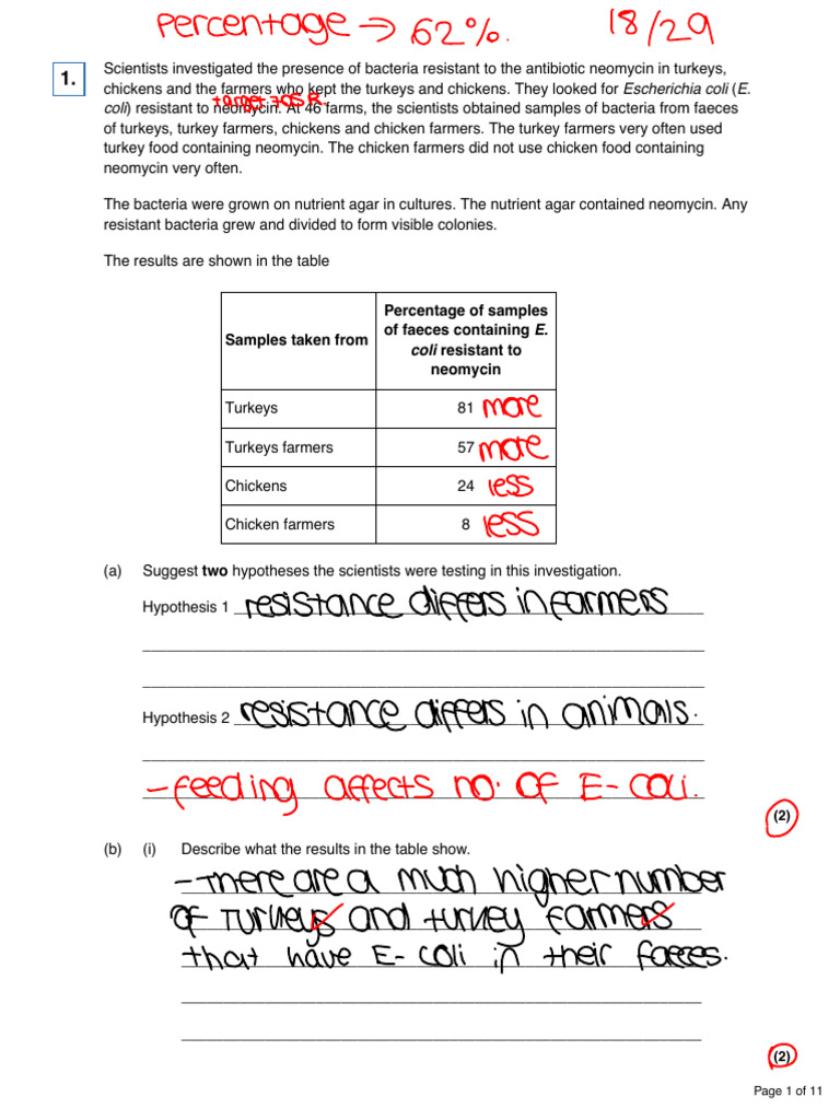 Antibiotic Resistance Homework | PDF
