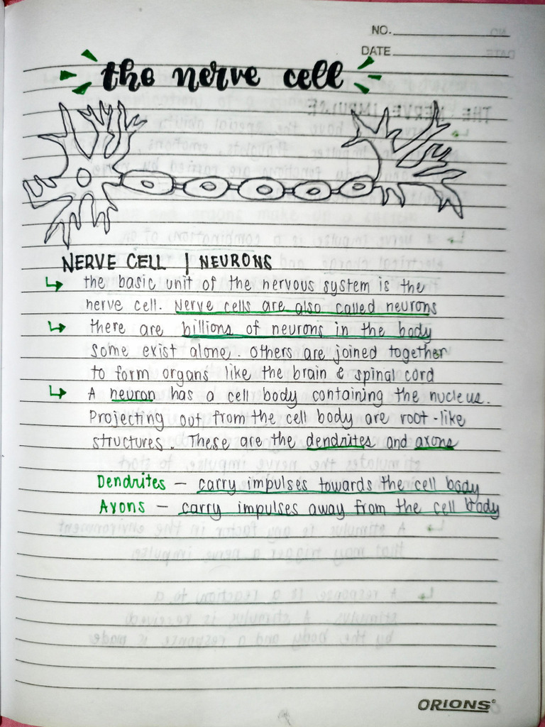 Sci 10 Q3 (Incomplete) - Notes by Kiyelaaah | PDF