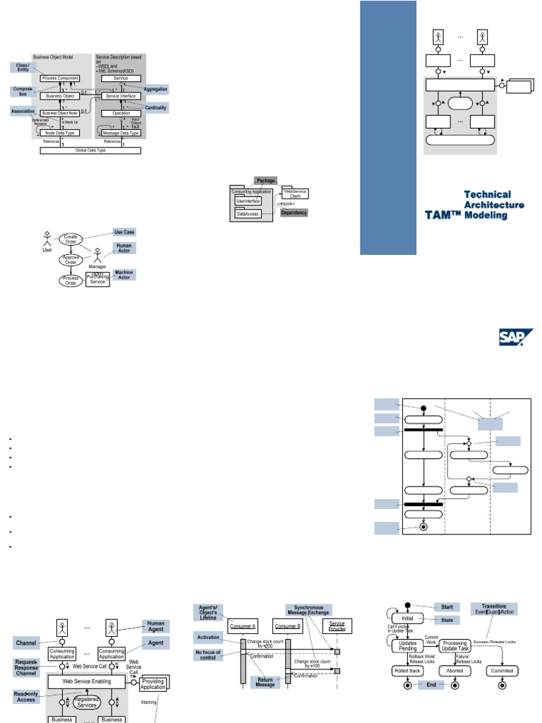 SAP-TAM Flyer | PDF