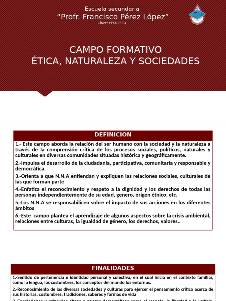 Formato Campos Formativos (1) FPL | PDF