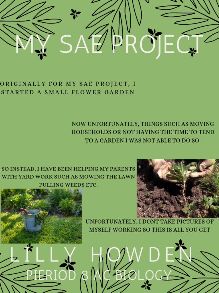 My SAE Project | PDF