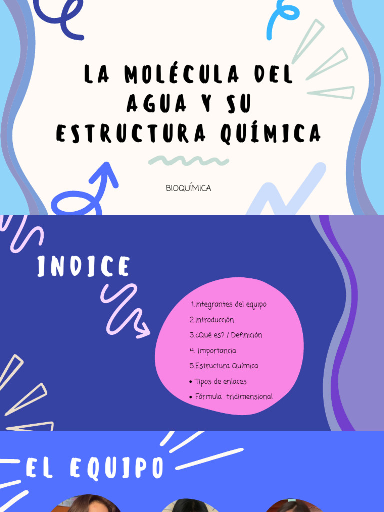 Equipo 1 - El Agua, Sus Funciones y Su Estructura | PDF