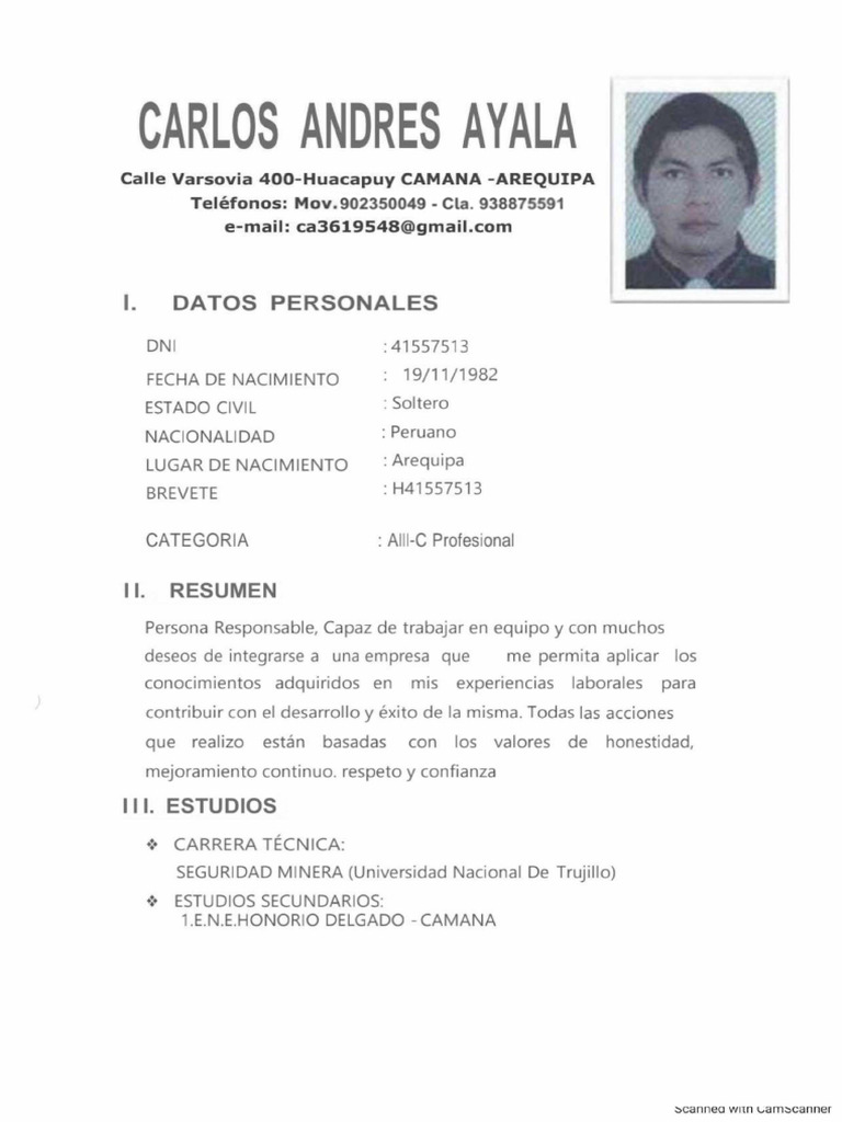 CV Ayala Carlos | PDF