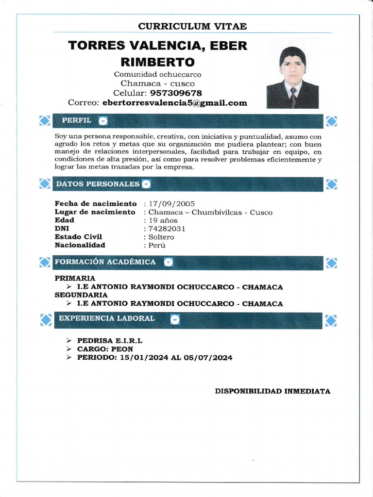 CV - Torres Valencia Ever Rimberto | PDF