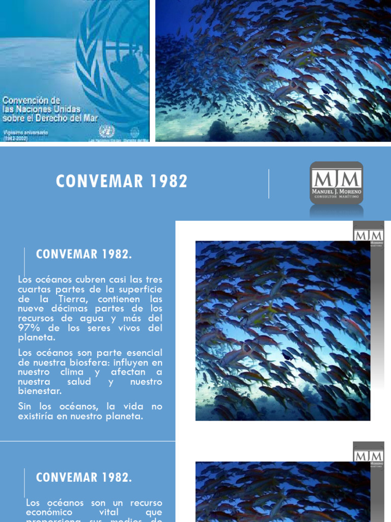 Convemar MJM | PDF