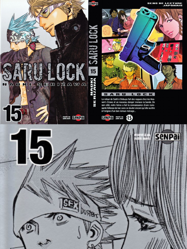 Saru Lock - Tome 15 | PDF