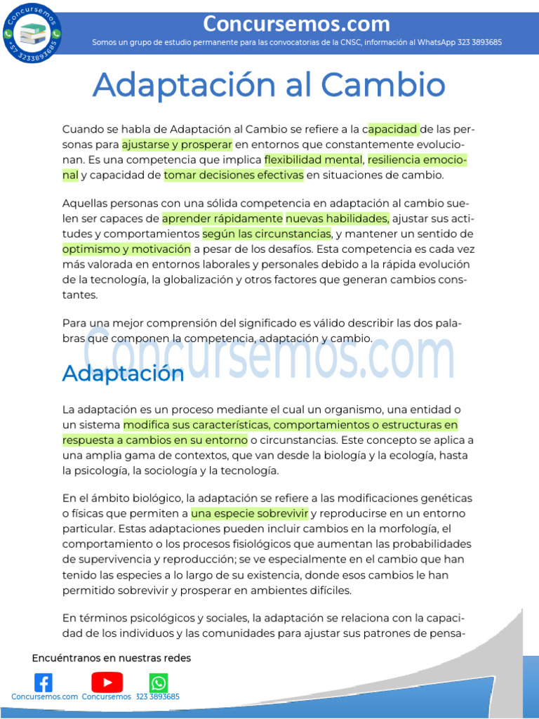 Adaptación Al Cambio | PDF