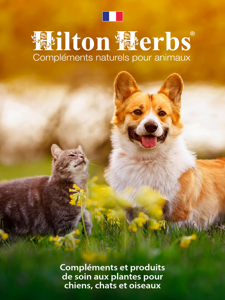 FR Pet Catalogue 23 | PDF