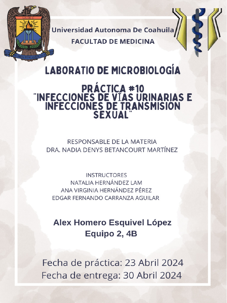 Reporte 10 Micro-2 | PDF