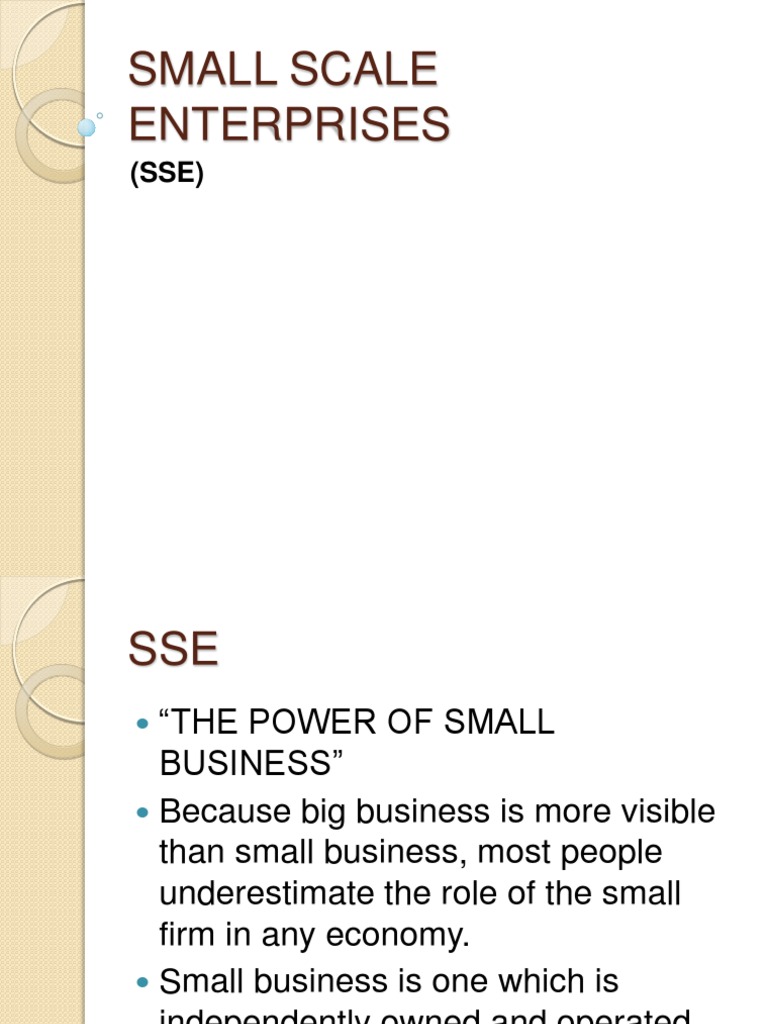 Small Scale Enterprises | PDF | Microfinance | Small Business