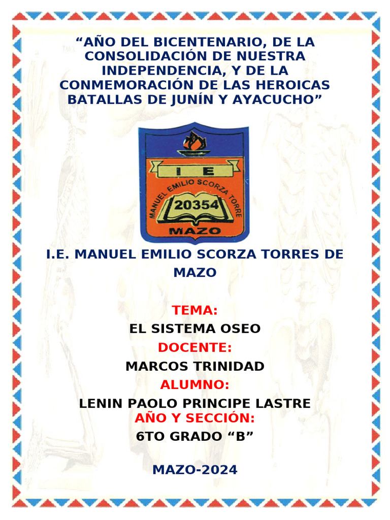 Diptico-Sistema Oseo | PDF