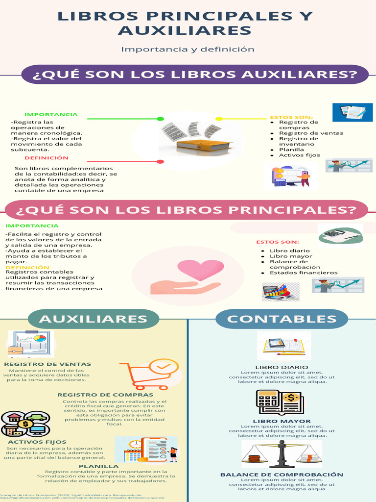 Libros Contables y Auxiliares | PDF