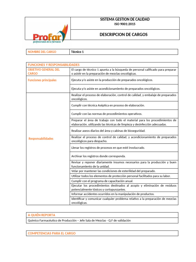 DESCRIPTOR DE CARGO - Técnico 1 | PDF