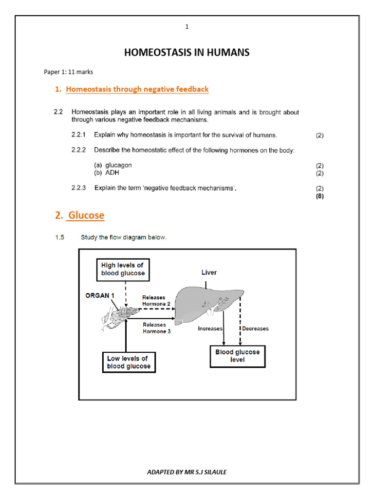 Homeostasis Activities | PDF