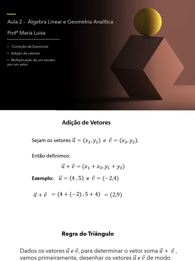 Aula 2 - Álgebra Linear e Geometria Analítica | PDF